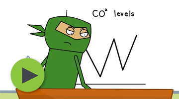 Welcome to Green Ninja